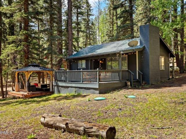 6 County Road 1007 Unit 6, Greer, AZ 85927