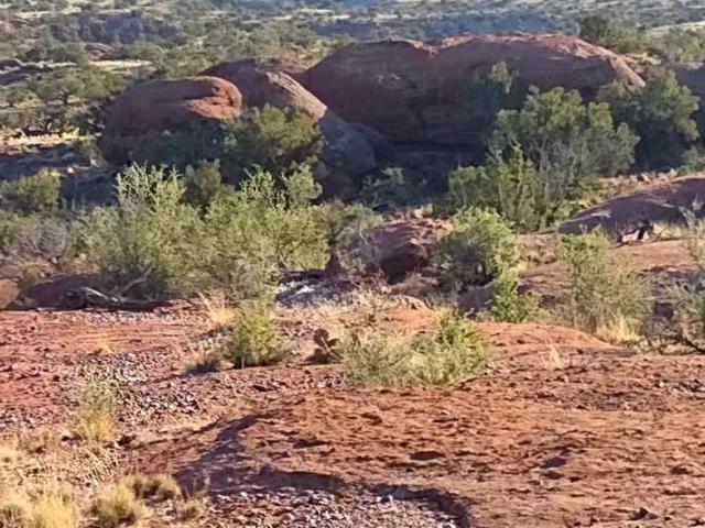 6 Cr N6411, Saint Johns, AZ 85936 MLS 250666