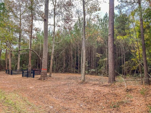 6 Cr 2305 S, Cleveland, TX 77327 | MLS #20237
