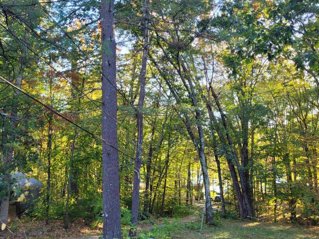 6 Davis Ln, Barrington, NH 03825 | MLS #5063 | Compass