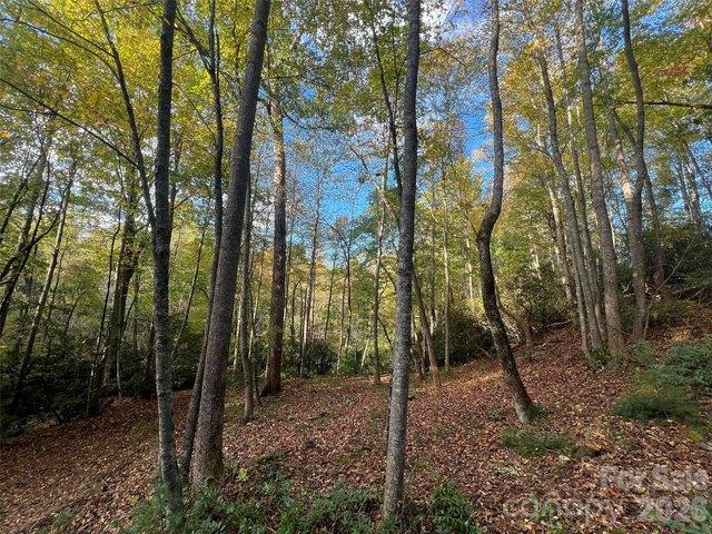 6 Dividing Ridge Trl Unit 1, Arden, NC 28704
