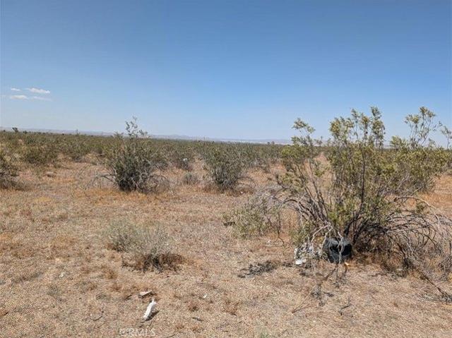 6 Dos Palmas, Pinon Hills, CA 92372