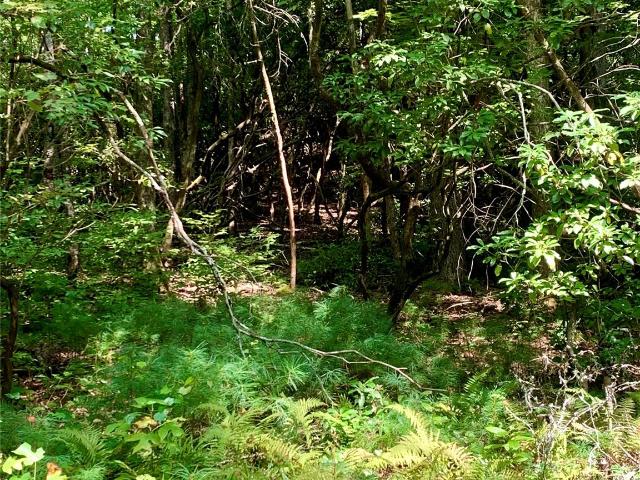 6 Double Creek Road # 6