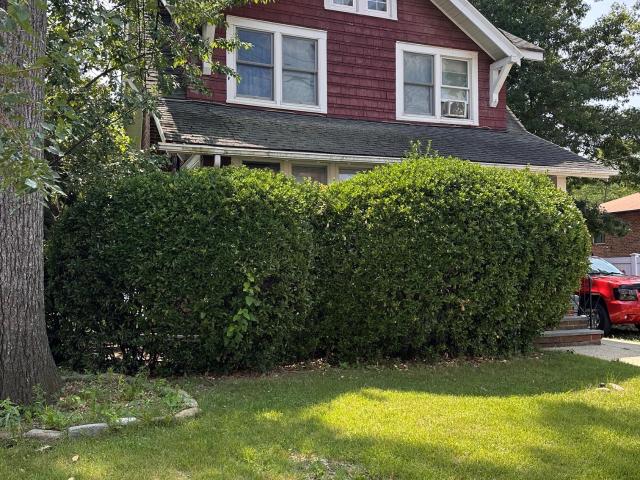 6 Forest Avenue