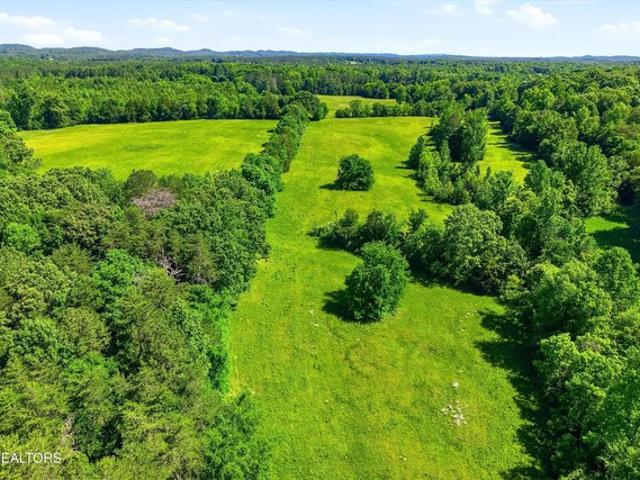 6 TN 163, Riceville, TN 37370