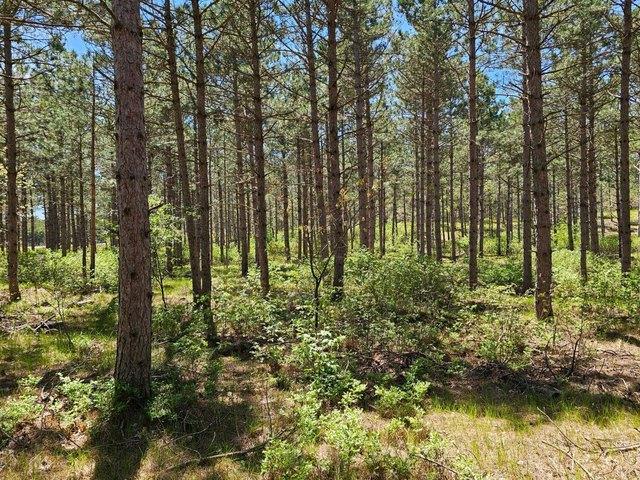 6 Hidden Trail Rd Lot 6, Rome, WI 54457