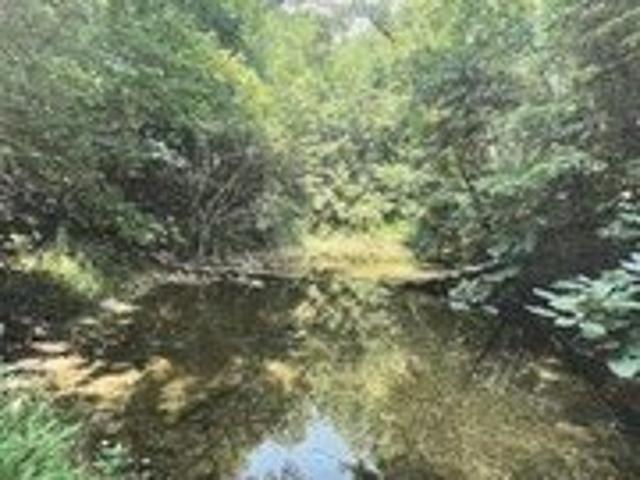6 Hidden Lakes Rd Lot 15H, Topton, NC 28781