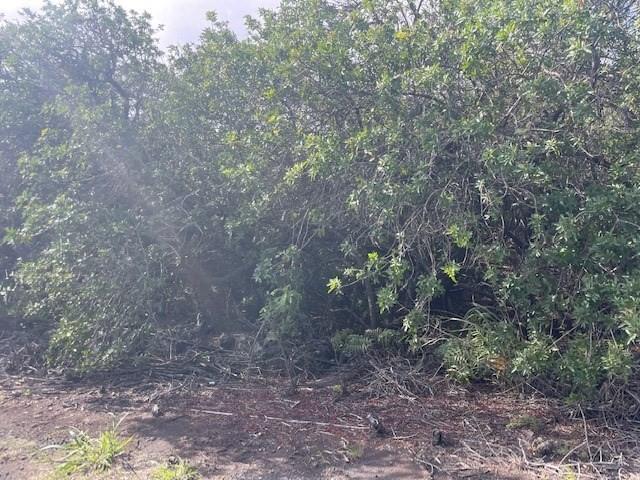 6 Holowai Rd, Naalehu, HI 96772 | MLS #729393 | Compass