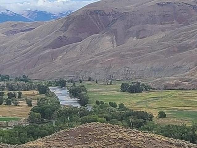 6 Homestead Trl, Challis, ID 83226