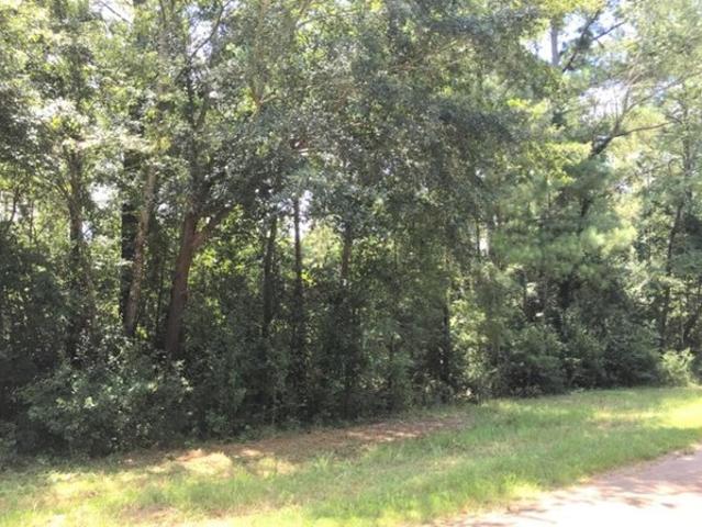 6 Joiner Dr, Albany, GA 31721