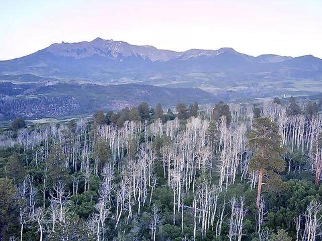 6 Little Lake Ranch Dr Lot 6, Placerville, CO 81430