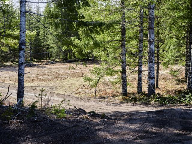 6 Loowit Ln, Cougar, WA 98616 | MLS #22259 | Compass