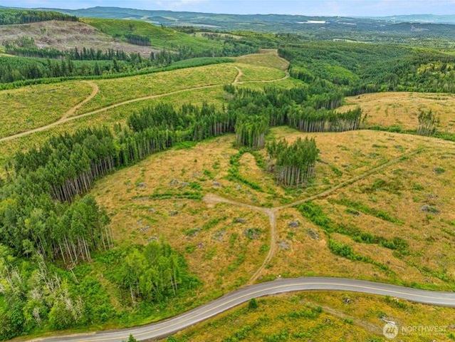 6 Lot 6 Parker Rd Lot F, Toutle, WA 98649