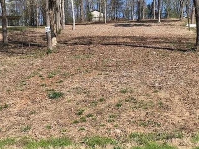 6 Piney View Dr, Spring City, TN 37381