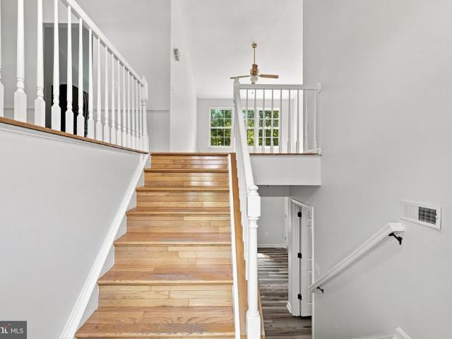 6 Plumosa Drive