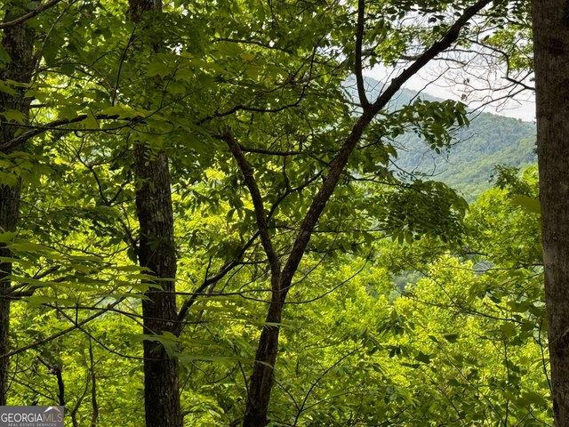 6 Pounding Ml, Hayesville, NC 28904