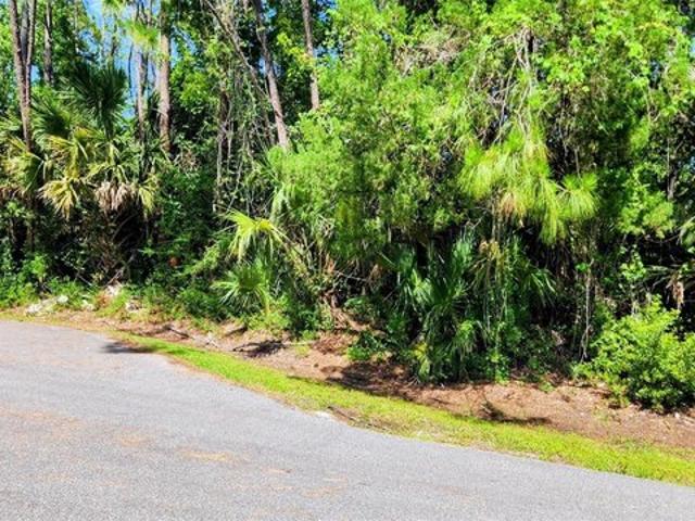 6 Rybar Pl, Palm Coast, FL 32164