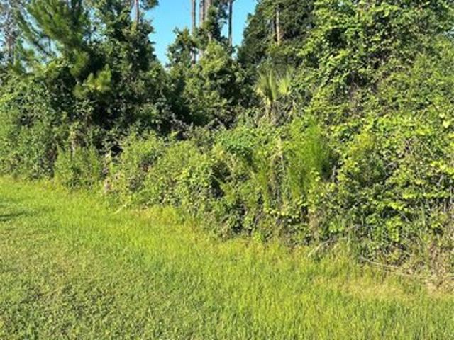 6 Ryberry Dr, Palm Coast, FL 32164