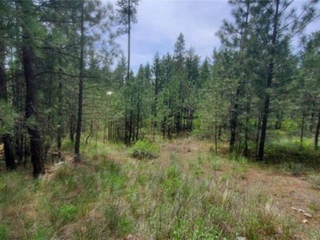 6 River Ranches 1 Dv Lot Okanogan, Tonasket, WA 98855