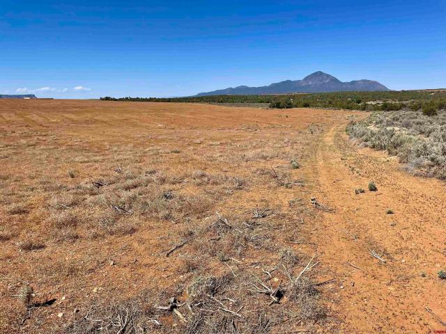 6 Road K 3 Cortez, CO 81321 | MLS #817751 | Compass