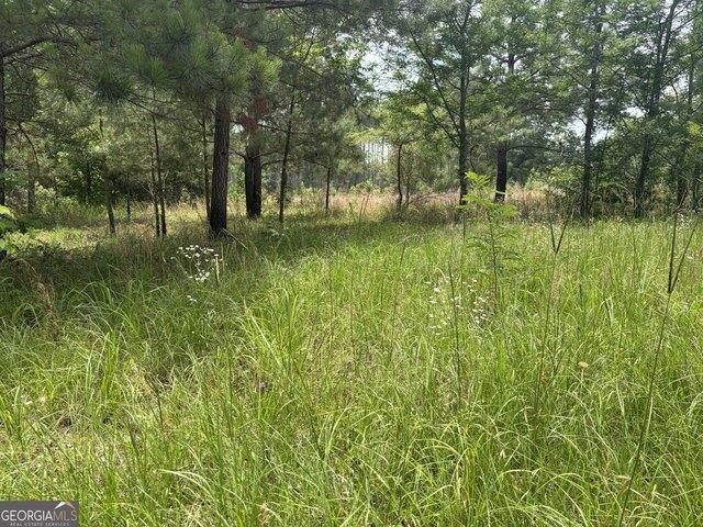 6 Sunhill Grange Rd, Davisboro, GA 31018