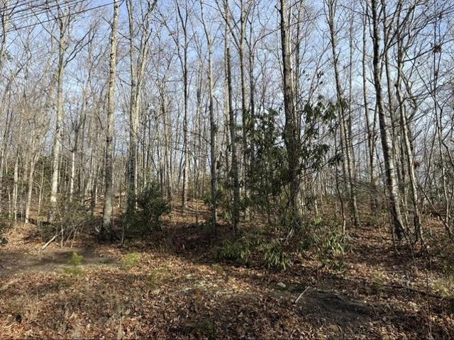 6 Swann Saddle, Sevierville, TN 37876