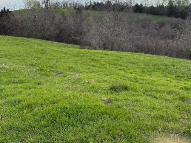 6 s Chowning Ln