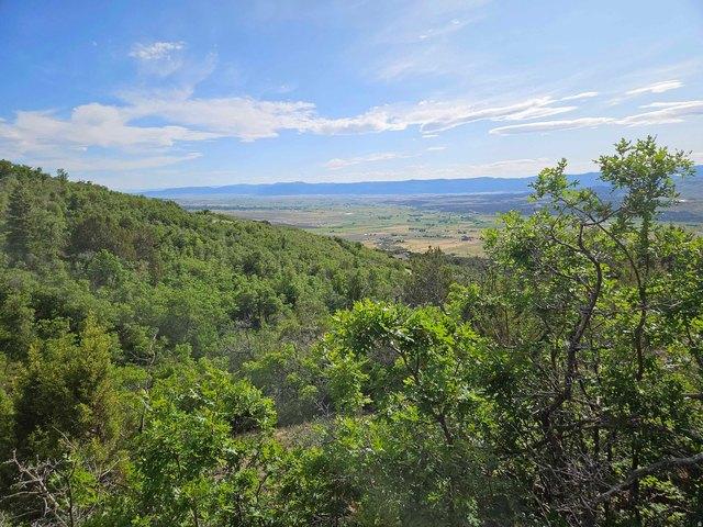6 S Red Fox Way W Unit 6, Fairview, UT 84629