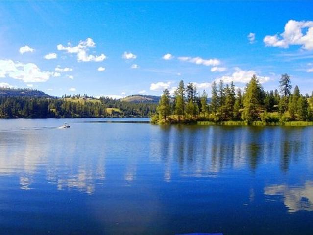 6 Tanager Ln, Republic, WA 99166
