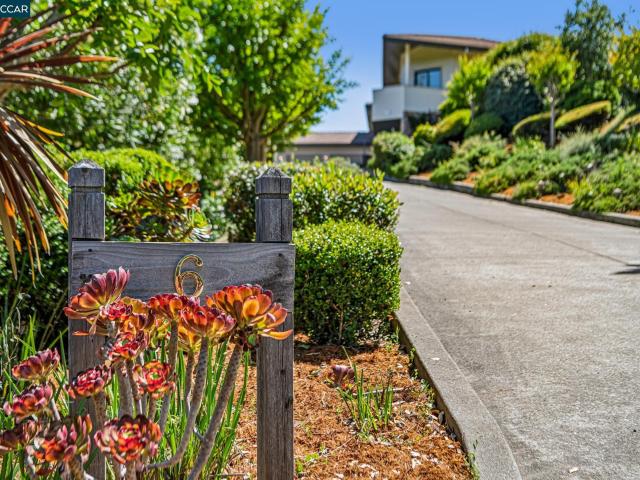 6 Tanglewood Lane