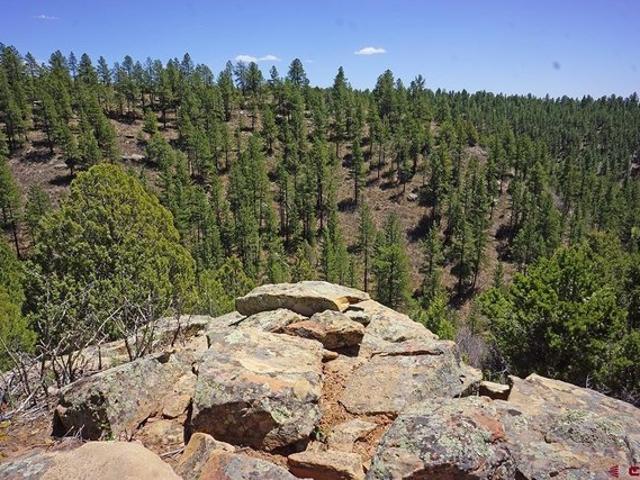 6 Tbd Rd # T7, Mancos, CO 81328