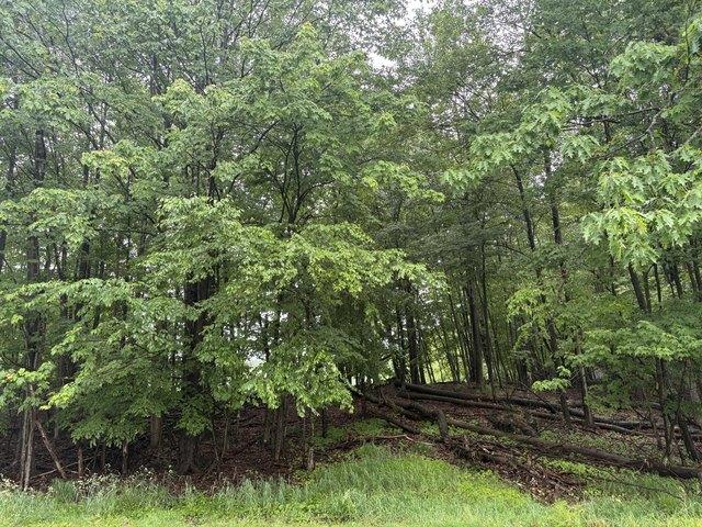 6 Treasure Lake Rd Lot 44/45, DuBois, PA 15801