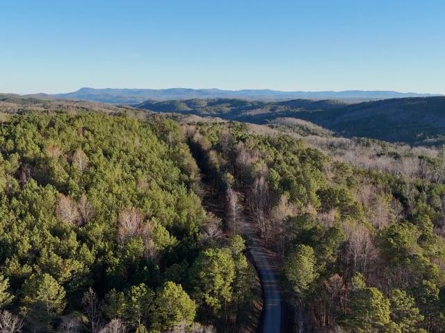 6 west Dry Pond Rd, Unit LOT #6 WEST, Ranger, GA 30734 | MLS #10707