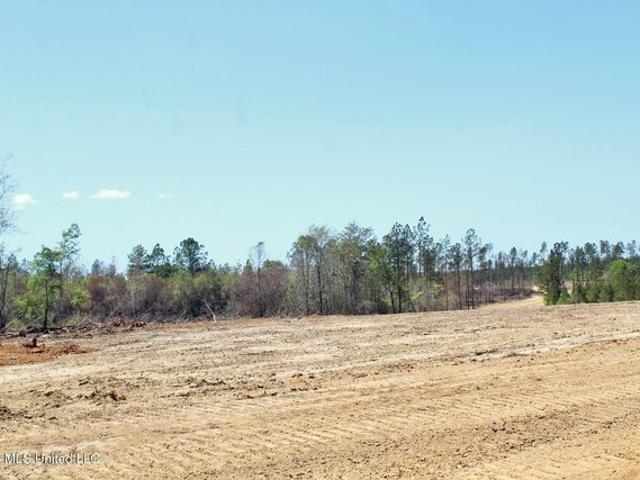 6 01AC Little Cedar Rd Lot 12, Lucedale, MS 39452