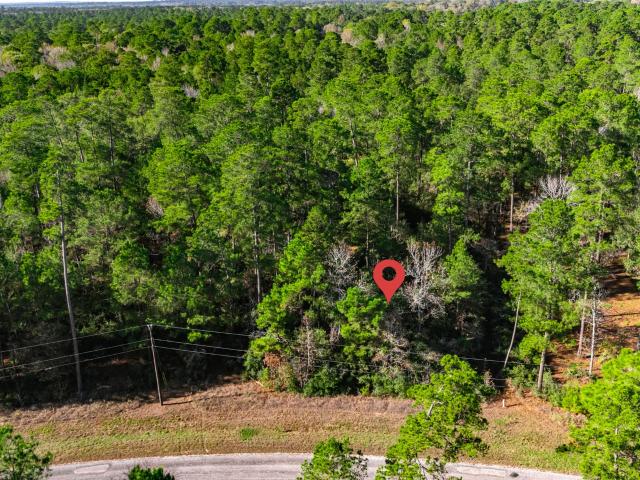 6 184 Branding Iron Rd, Huntsville, TX 77340 | MLS #89765