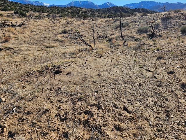 6 128th Juniper Hills, Pearblossom, CA 93553 | MLS #SR25265 MR