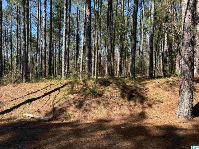 6.1 acres bent twig lane # 6.1 Acres