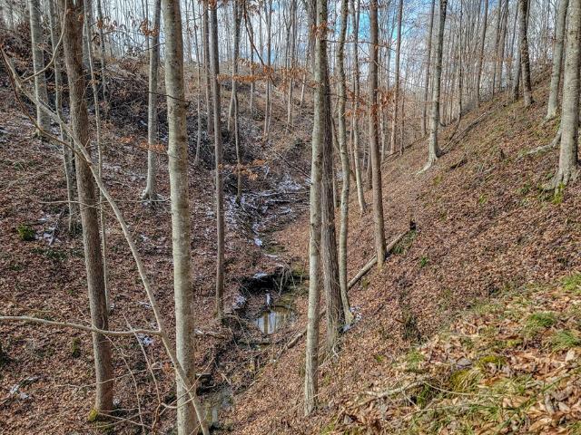 6.24 AC Hutchins Bend Rd