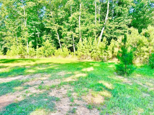 6.29 Ac June Drive