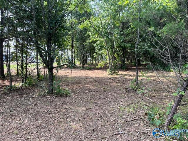 6.21 acres South Greenway Drive