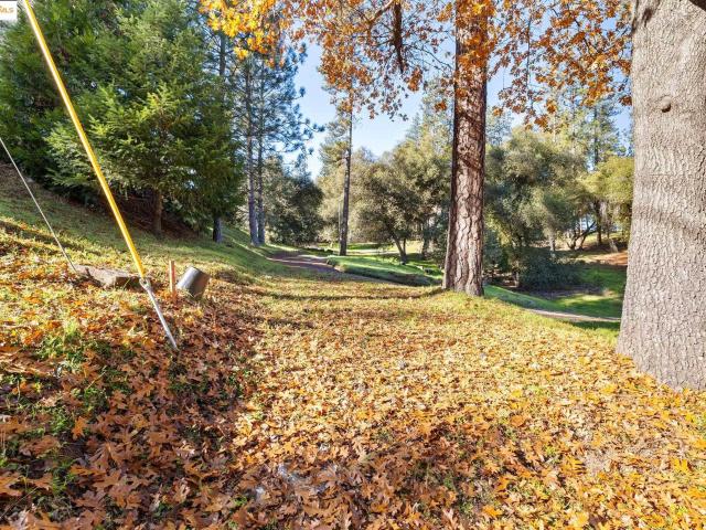 6 235 Ferretti Rd, Groveland, CA 95321 | MLS #41119