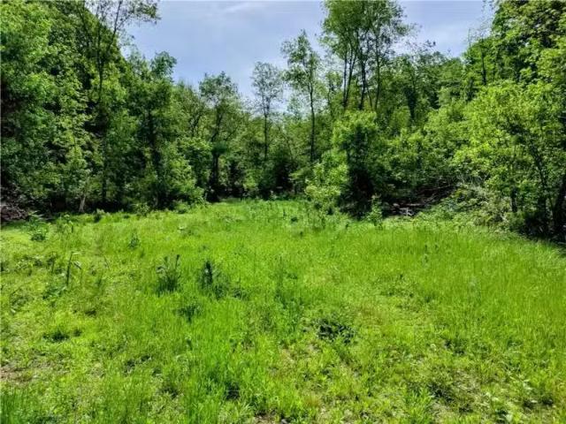 6.38 ACRES SHADY BLACK OAK WAY, DECATUR, AR 72722 Vacant Land.