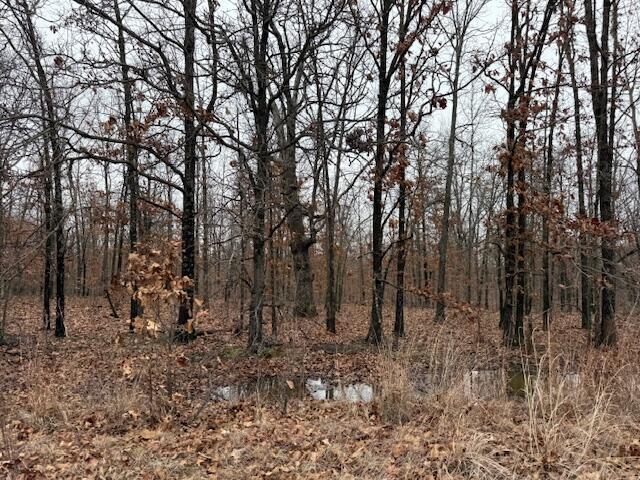 6.47 Acres Hawkweed Trail