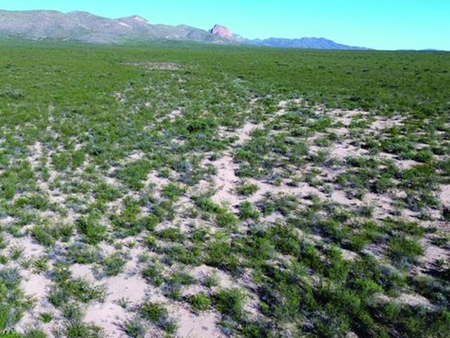 6.48 Acre La Deffensa Rd Unit 166, Douglas, AZ 85607