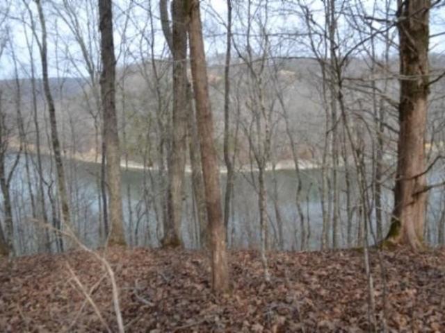 6 49AC Garrett Town Ln, Monroe, TN 38573