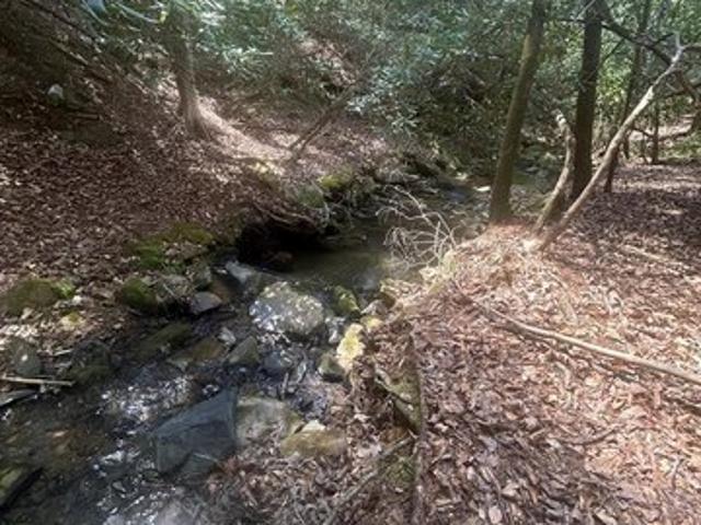 6 56acre Liberty Hill Rd, Blairsville, GA 30512