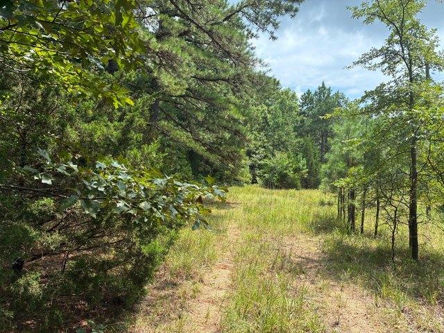 6.5 Acres Greene 138 Rd, Paragould, AR 72450