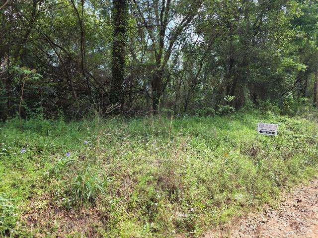 6.5a Bradleyville Road