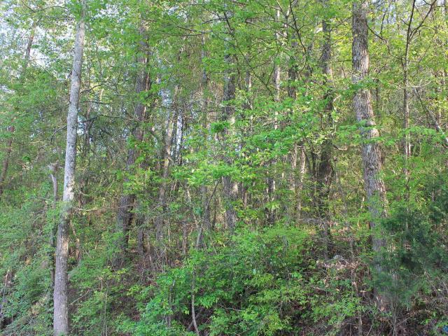 6.65 West Lacon Road