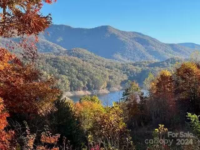 6 & 6A Bailey Fields Rd, Robbinsville, NC 28771 MLS# 4122141